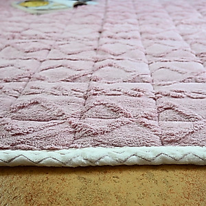Beyeutao Pink Large Area Rugs for Bedroom Living Room 4x6.6 Feet Velvet Fluffy Rug Non-Skid Rug Large Shaggy Carpets Mattress Pad Kids Play Carpets Bedside Rug Home Decor.
