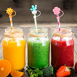 NOLITOY 6Pcs Straw Covers Cap Silicone Straw Tips Cover Straw Toppers for Reusable Straws Drinking Straw Tips Lids Straw Protector Straw Plugs for 6-8mm (0.2-0.3 inch) Straw Tips, (Random Color)