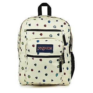 JanSport Big Student, Sunset Stripe, One Size