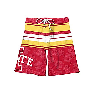FOCO Iowa State Cyclones NCAA Mens Hibiscus Boardwalk Stripe Boardshorts - L