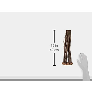 Underwater Treasures Mangrove Root - Small