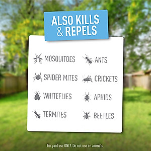 Adams Plus Flea & Tick Yard Spray and Home Spray