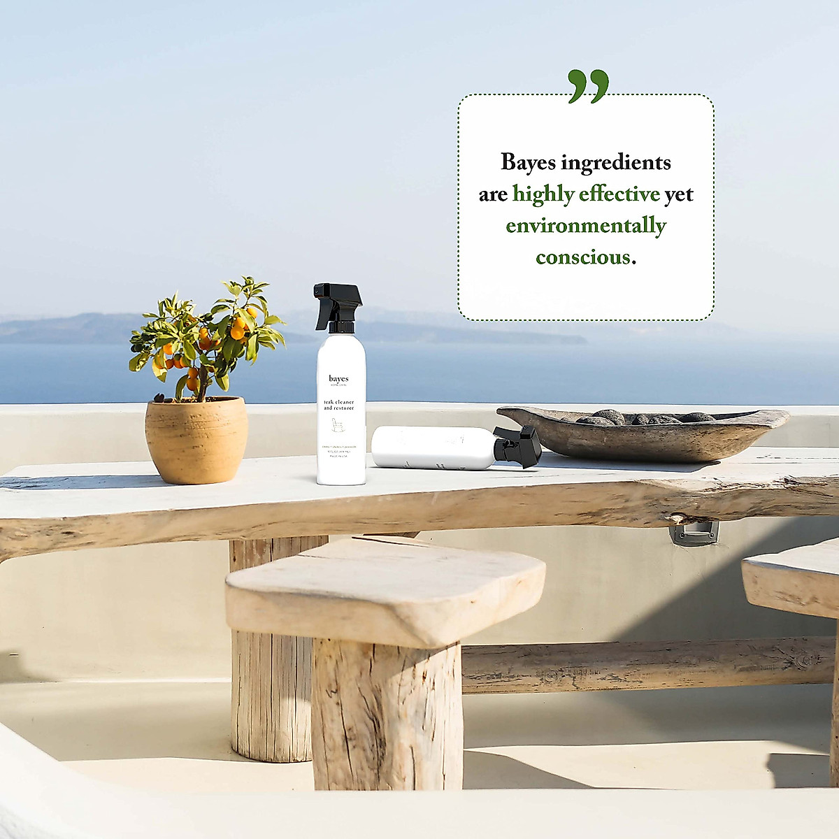 Bayes High Performance Teak Cleaner & Restorer - Cleans, Shines, and Protects - Maintains Fine Teak and Restores Neglected Teak - 16 oz (1-Pack)