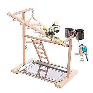 Bird Playground Birdcage Playstand Parrot Play Gym Parakeet Cage Decor Budgie Perch Stand with Feeder Seed Cups Ladder Hanging Swing Chew Toys Parakeets Conures Macaw Cockatiel Finch