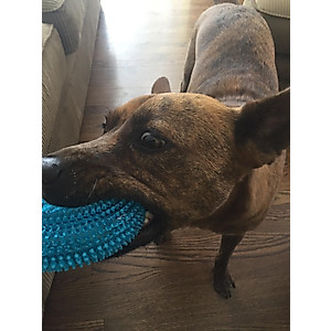 ADUCK Dog Squeaky Chew Toys for Aggressive Chewers Dental Teething Cleaning (Non-Toxic Soft Natural Rubber), Cute Crystal Ring Design -4.92 inches (Crystal Blue)