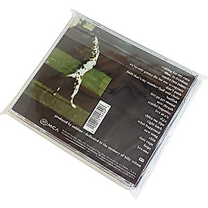 Square Deal Recordings & Supplies - CD Sleeves - RESEALABLE Premium 2mil Thick - Archival Quality, Crystal Clear - Holds 1 Standard 10.4mm CD Jewel Box (100 Sleeves)