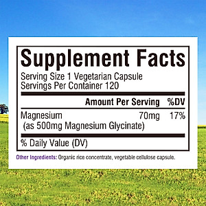 Innate Vitality Magnesium Glycinate 500mg | 70mg Elemental Magnesium Supplement- High Absorption, Non Buffered, Non-GMO & No Gluten - Nerve, Muscle, Bone Health - 120 Vegan Capsules Magnesio