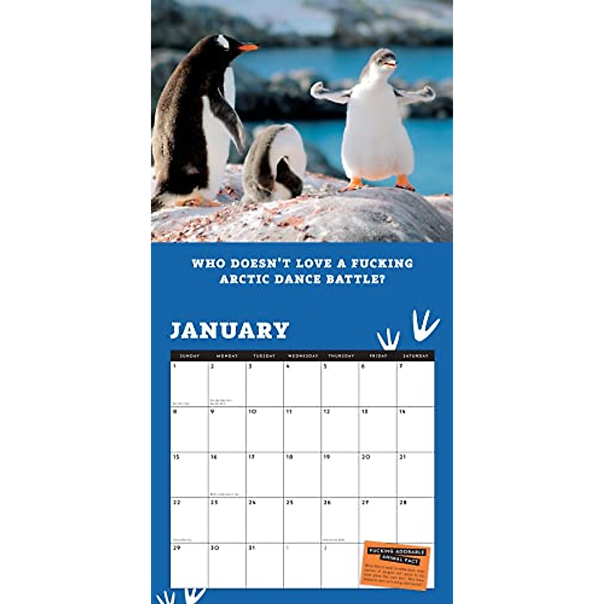 2023 Too F*cking Cute Animals Wall Calendar: A Year of D*mn Adorable Animals (Funny Monthly Calendar & White Elephant Gag Gift for Animal Lovers)