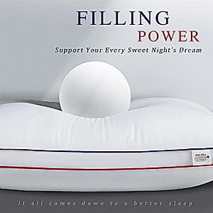 Bedufsar Bed Pillows for Sleeping, Queen Size Pillows Hotel Quality Set of 2, Firm and Supportive Gusseted Pillows for Side and Back Sleepers, Cooling Down Alternative Fluffy Soft Pillow (20x30 in)