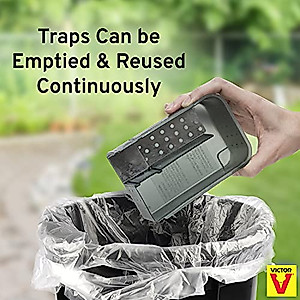 Victor M333 Multiple Catch Humane Outdoor and Indoor Mouse Trap