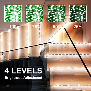 ROADAYLY 394 FT 1000 LED Christmas Lights Outdoor Waterproof Christmas Tree Lights with Remote Timer 8 Modes Green Wire Plug Fairy Lights Indoor Twinkle String Lights Xmas Decorations (Cool White)