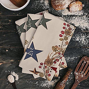 Yun Nist Kitchen Dish Towels,Country Star Berry Burgundy Red Gingham Soft Microfiber Dish Cloths Reusable Hand Towels,Live Laugh Love Text Washable Tea Towel for Dishes Counters 2 Pack