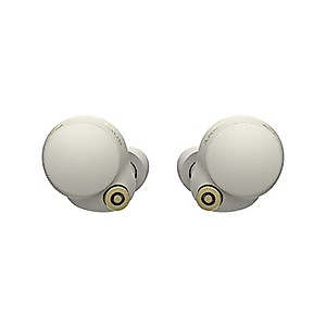 Sony WF-1000XM4 Industry Leading Noise Canceling Truly Wireless Earbud Headphones with Alexa Built-in, Silver (Renewed)