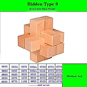 Onietoiy Difficult 20pcs DIY Wooden Brain Teaser Puzzle Toy 9 Types Assembly Building Blcok Games 94 Methods Challenge IQ Lock Toys 3D Brainteaser Educational Puzzles Unique Gift for Kids and Adults