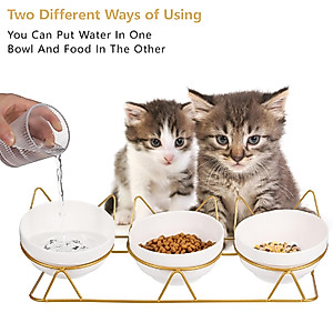 Wedding Pails Elevated Cat Bowls with 3 Ceramic Bowls,5 inches Food & Water Bowls 15° Tilted Raised Feeding Dishes with Metal Stand for Multiple Cats Dog Pet, Gold