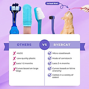 RYERCAT Dual Sided Cat Toothbrush - Kitten Toothbrush with Micro Head to fit into Cat/Kittens Mouth - Cat Dental Care Supplies - Pet Toothbrush for Cats(Amethyst Purple)