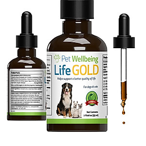 Pet Wellbeing More Mushrooms Kit for Dogs - Immune System Support and Antioxidant Protection - Vet-Formulated with Turkey Tail, Reishi, Maitake, Astragalus