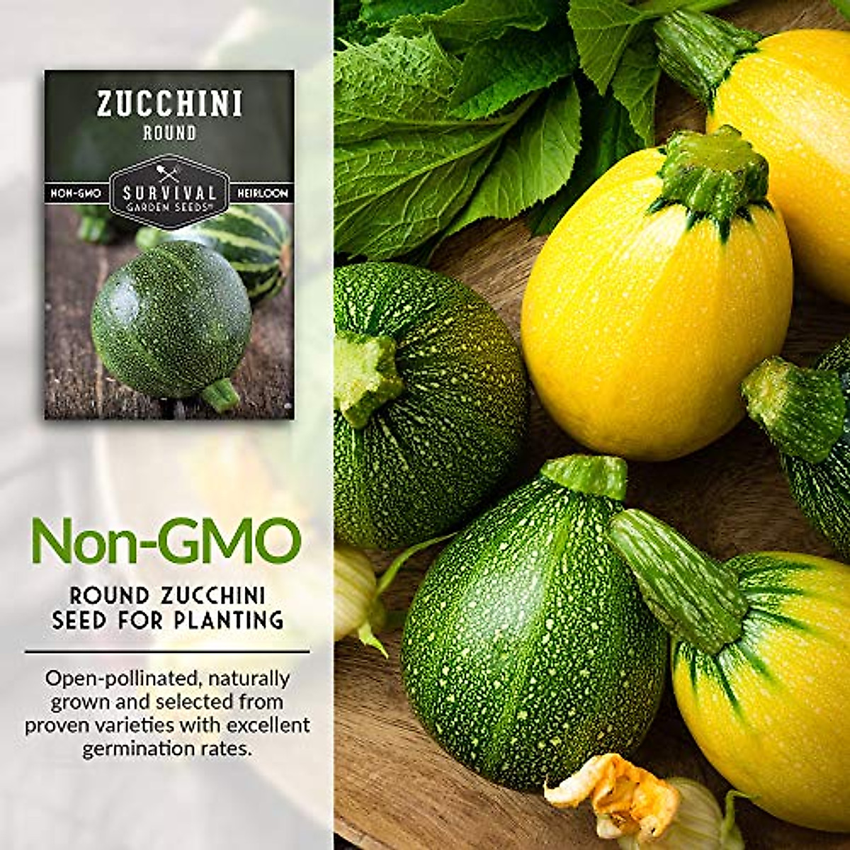 Survival Garden Seeds - Round Zucchini Seed for Planting - Pack with Instructions to Plant and Grow Small Green Zucchinis in Your Home Vegetable Garden - Non-GMO Heirloom Variety