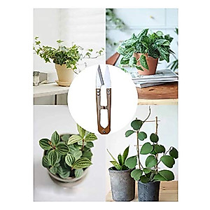 MUUZLL 3 Pack 4.1Inch Bonsai Pruning Scissors, Bud And Leaves Trimmer Yarn Thread Cutter Snips Trimming Supplies, Garden Plants, Gardening Clippers Flower, Stainless Steel Pruners Trimmers