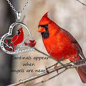 Red Cardinal Necklace 925 Sterling Silver I am Always With You Memorial Pendant Jewelry Gifts for Women (01 Red Heart Cardinal)