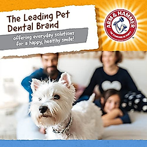 Arm & Hammer for Pets Nubbies Wishbone Dog Dental Toy| Best Dog Chew Toy for Moderate Chewers | Dog Dental Toy Helps Reduce Plaque & Tartar | Chicken Flavor Baking Soda (Pack of 1)