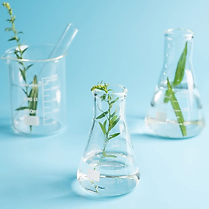 ADAMAS-BETA 3pcs Erlenmeyer Flask Lab Chemistry Glass Flasks Science Beakers Set 50ml,150ml,250ml Flat Bottom Glassware