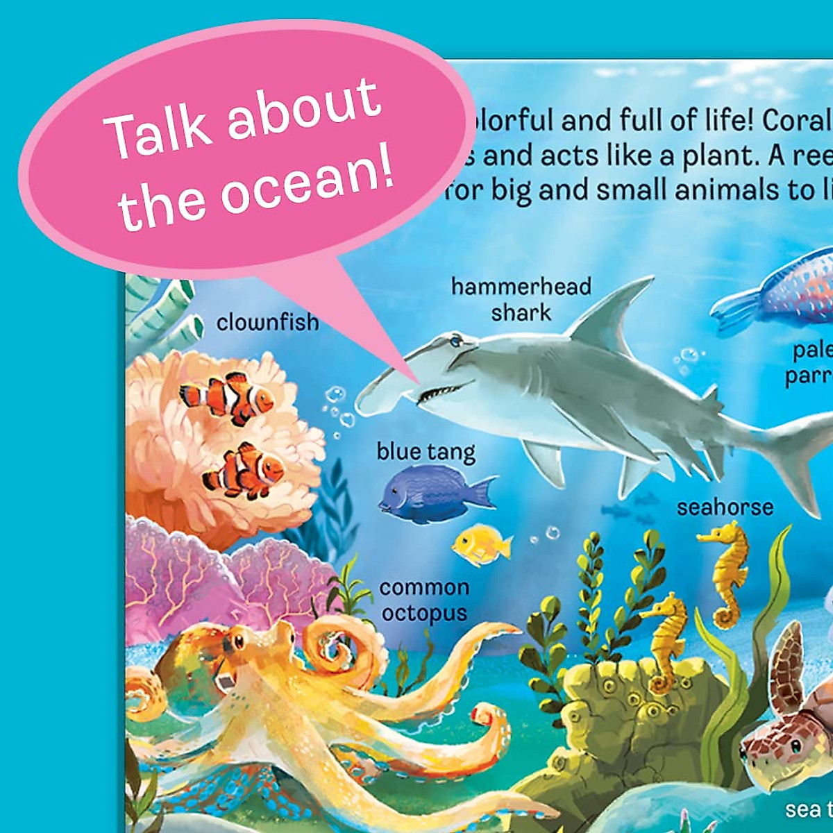 Peek-a-Flap Ocean Children's Lift-a-Flap Board Book for Children Learning about the Sea and Water Animals, Ages 2-5