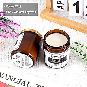 Premium Eucalyptus & Lavender Scented Candles - Soy Wax Candles | Aromatherapy Candles for Stress Relief, Meditation, Yoga, Relaxing, SPA | Natural Jar Candles for Home Men Women Office