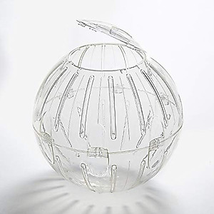 Kaytee 13" Clear Run-About Exercise Ball For Pet Rats & Chinchillas