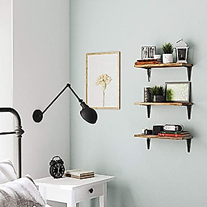 Wallniture Arras Rustic Wood Floating Shelves for Wall Storage, Wall Shelves for Living Room, Burnt Finish Plant Shelf Set of 3