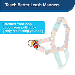 PetSafe EWH-C-HC-S-DNT Easy Walk Chic Harness, Small, Donuts