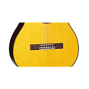Takamine GC5CE-NAT Acoustic Electric Classical Cutaway Guitar,Natural