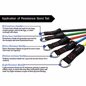 TheFitLife Exercise Resistance Bands with Handles - 5 Fitness Workout Bands Stackable up to 110/150 lbs, Training Tubes with Large Handles, Ankle Straps, Door Anchor Attachment, Carry Bag (110 LBS)