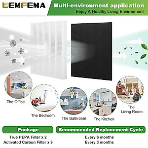 C545 HEPA S Compatible with Winix C545 Air Purifier, 2 Packs True HEPA and 8 Packs Activated Carbon, Part Number 1712-0096-00