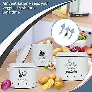 3-in-1 Large White Potato, Onion & Garlic Storage Canisters