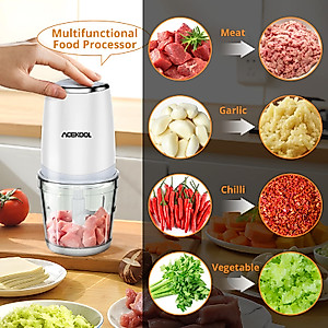 Mini Food Processor with 2.5 Cup Glass Bowl, Acekool Small Electric Food Chopper for Vegetables Meat Fruits Nuts Puree - 300W 2 Speed Kitchen Food Processor With Sharp Blades