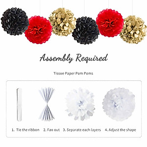 ANSOMO Red Black and Gold Happy Birthday Party Decorations Banner Swirls Balloons for Men Women Boys Girls Him Her