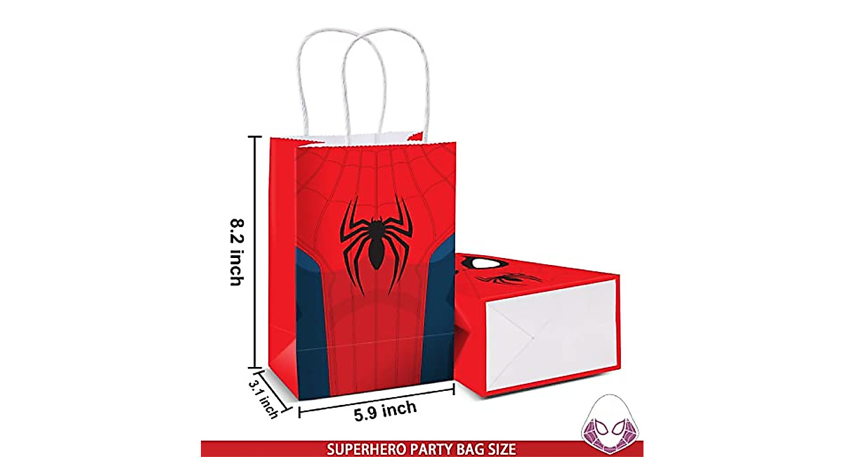 15 PCS Super Hero Birthday Goody Bags for Boys