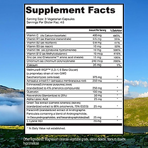 ScimeraMD® Scimune Immune Support Vitamin Supplement with Zinc, Quercetin, Vitamin C, Echinacea, and Wellmune®, 14 CT