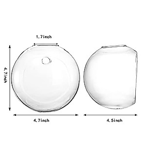 yarlung Set of 6 Wall Hanging Planters Terrarium, Glass Oblate Globe Plants Containers Wall Mount Flower Vase for Propagating Hydroponics Plants, Air Plants (Plants Not Included)