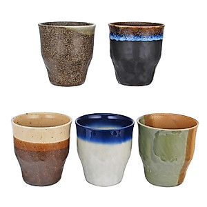 Hinomaru Collection Authentic Japanese Minoyaki Porcelain Tea Cups Set of 5 Traditional Earthenware Glazed Decorative Sushi Teacups Made in Japan