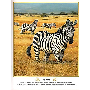 3 PACK Amazing Animal Puzzle Stickers 1,2 & 3