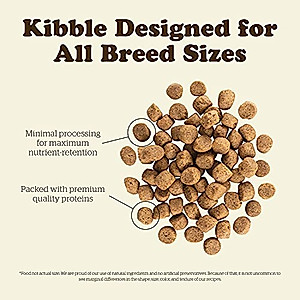 Now Fresh Dry Dog Food, Turkey, Salmon and Duck Recipe, 22 lbs - Grain Free Dog Food, Made with Real Meat and Fish for Small, Medium, and Large Breed Adults