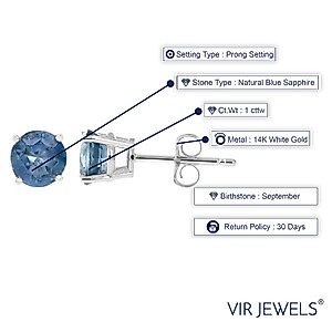 Vir Jewels 1 cttw Blue Sapphire Stud Earrings 14K White Gold Round with Push Backs September Birthstone