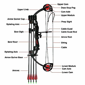 Youth Compound Bow and Arrow Set for Women/Beginner/Teenagers,with 4pcs Carbon Arrows Archery Right/Left Handed, 19”-28” Draw Length, 15-29lbs Draw Weight Archery Hunting Equipment.