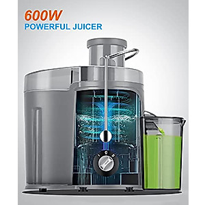 Juicer machine, 600w Juicer with Wide Chute for the Whole Fruit, Juicer Extractor 2 Speed Setting Easy to Clean Anti-Drip Function Centrifugal Juicer BPA Free