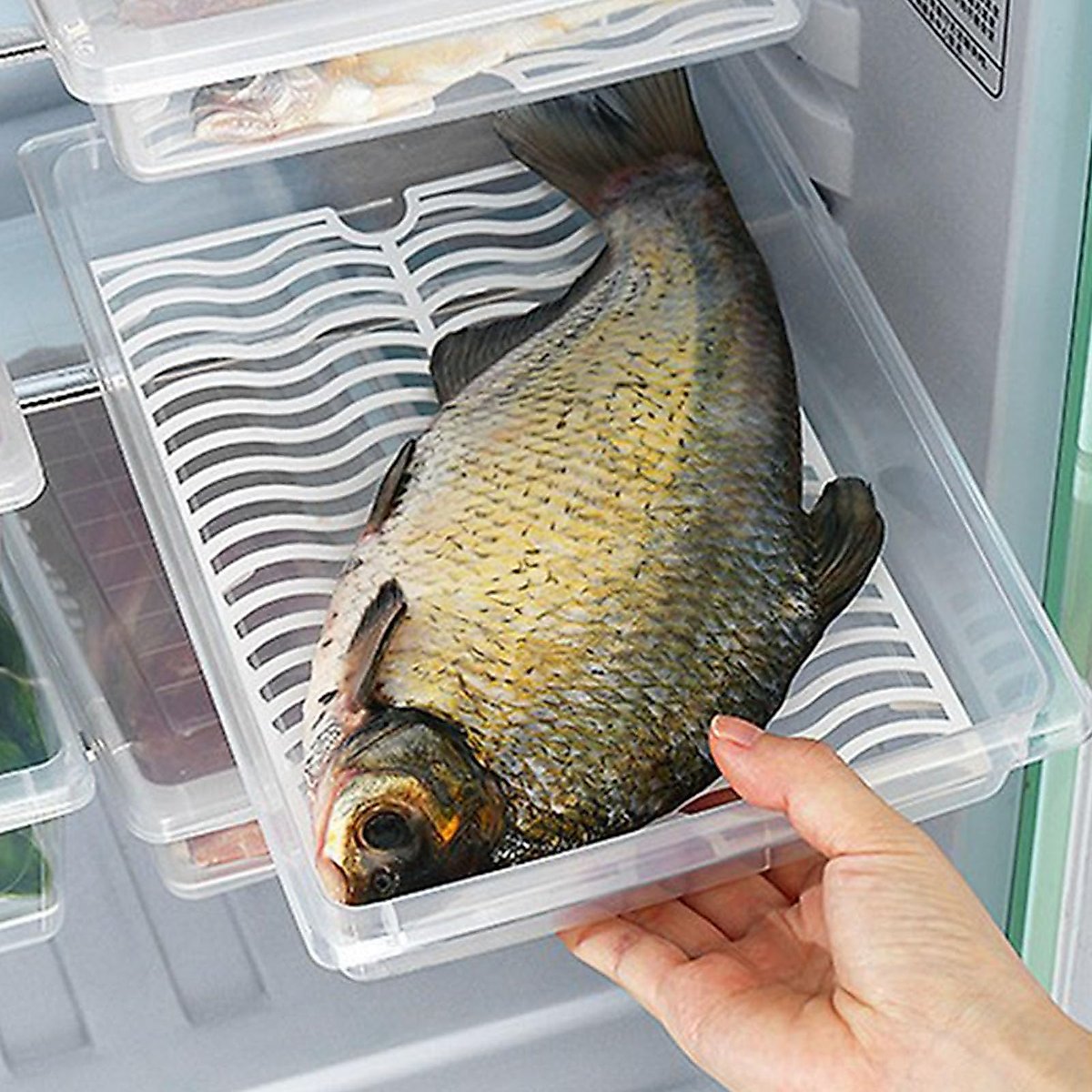 BEIJIALY Plastic Food Containers with Removable Drain Plate and Lid, Fridge Food Box Transparent Rectangular Versatile Food Storage Container Stackable Produce Containers for Home