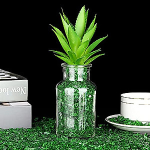 Crushed Glass for Crafts Broken Glass Pieces Decorative Reflective Tempered Crushed Mirror Pieces Vase Filler Crush Glass for Vase Pool, Bar, Fish Tank, Garden Decoration (Green,2 Pound)