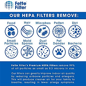 Fette Filter - 2 Premium Air Purifier HEPA Filters Compatible with 30930, 30020, 30393, 30200, 30201, 30205, 30250, 30253, 30255, 30256, 30350, 30374, 30375, 30377, 30380, 30390, 37255, 37375. Pack of 2