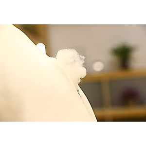 26/40cm Simulation Mother Hen Doll, Funny Fat Chicken Plush Toys, Cute Cartoon Chicken Pillow, Creative Gift (26.cm)